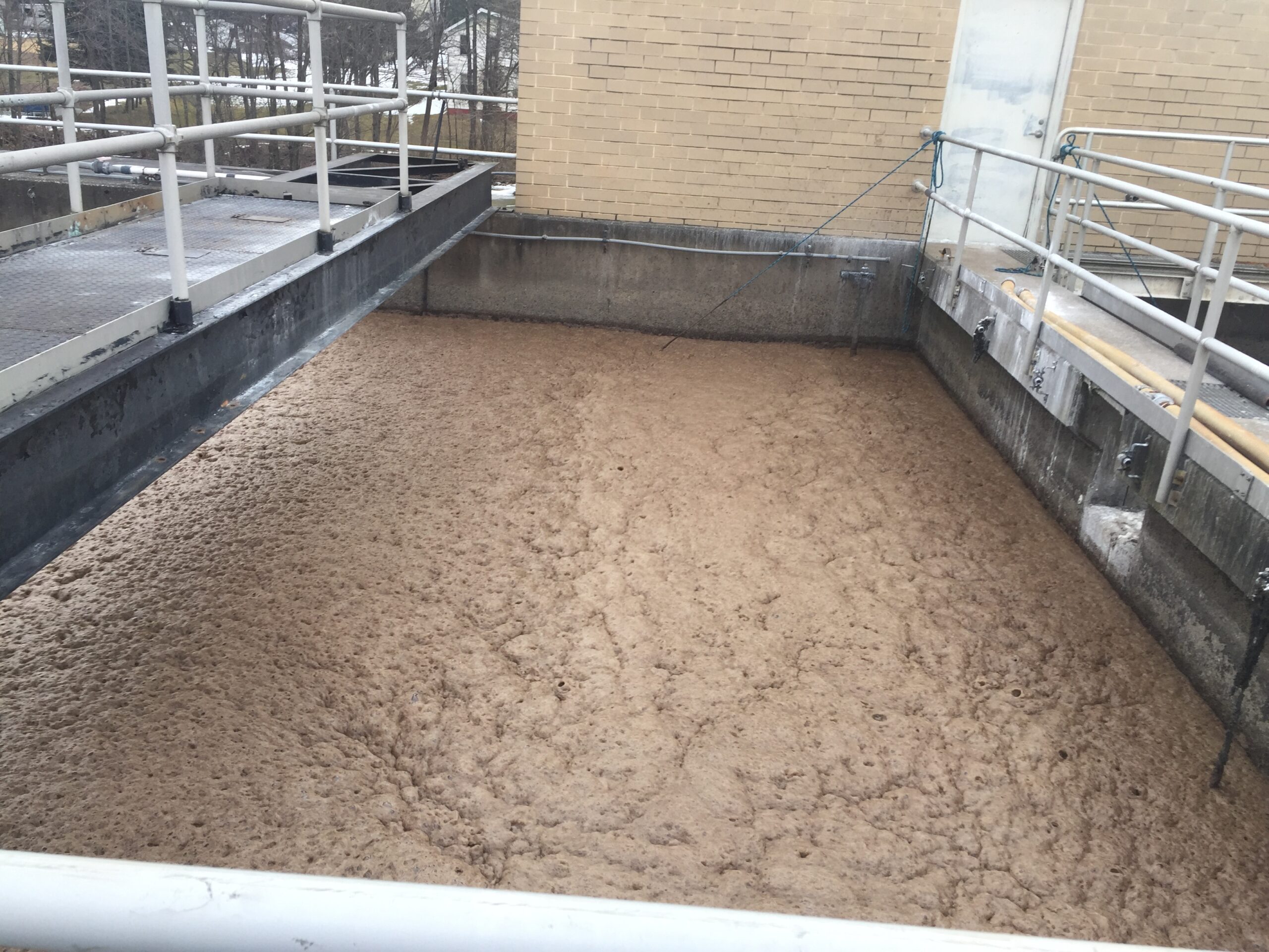 Activated Sludge: Filamentous Organisms (10/10/2025) - LearnH2O